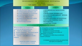 Νευρομυϊκή συναρμογή στο ποδόσφαιρο | PPT