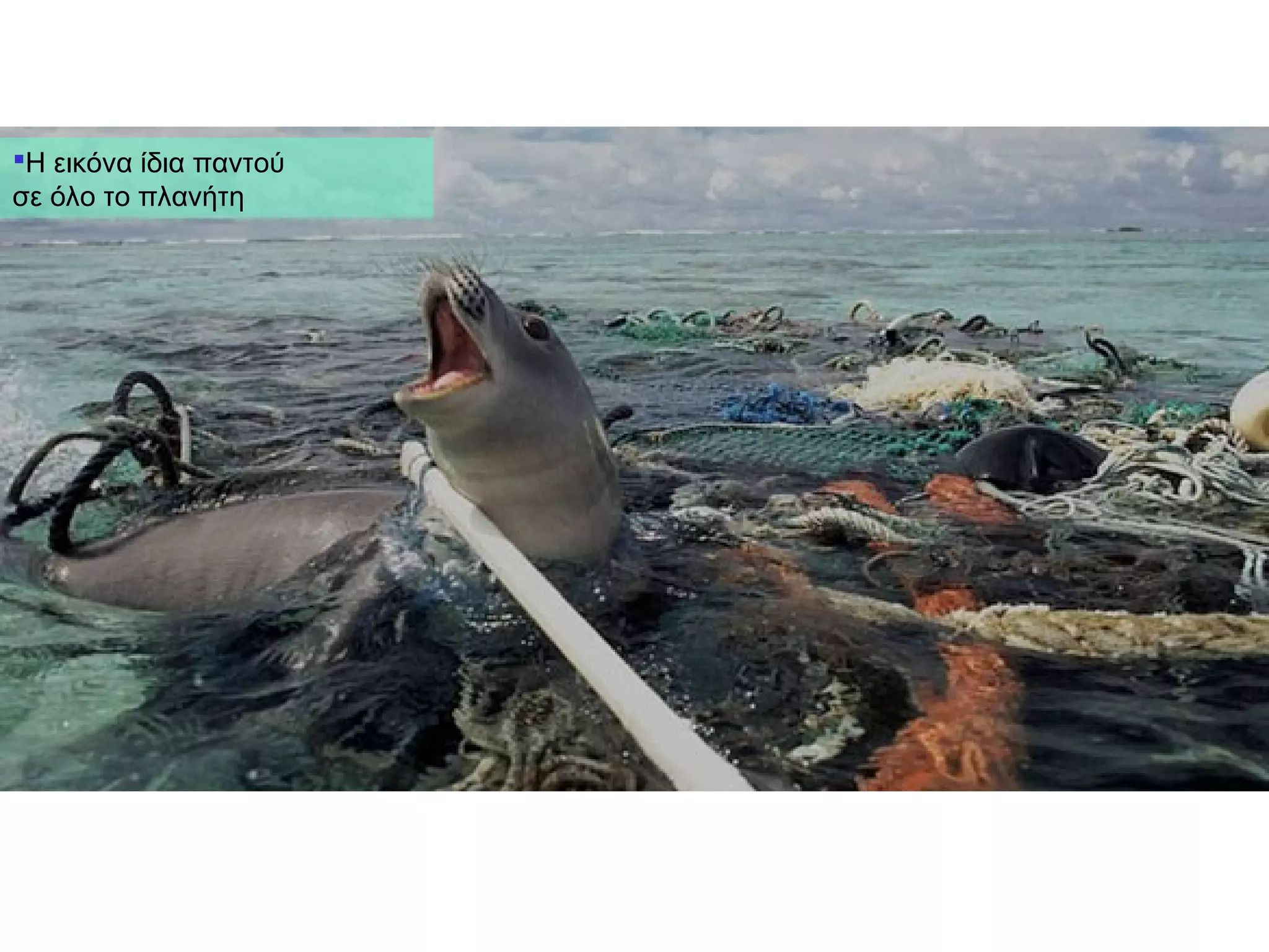 Πλαστικό και περιβάλλον (Plastic and Environment) | PPT