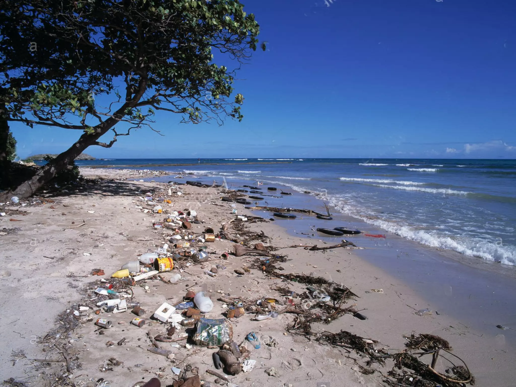Πλαστικό και περιβάλλον (Plastic and Environment) | PPT