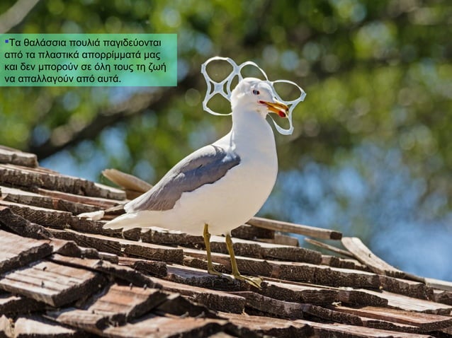 Πλαστικό και περιβάλλον (Plastic and Environment) | PPT