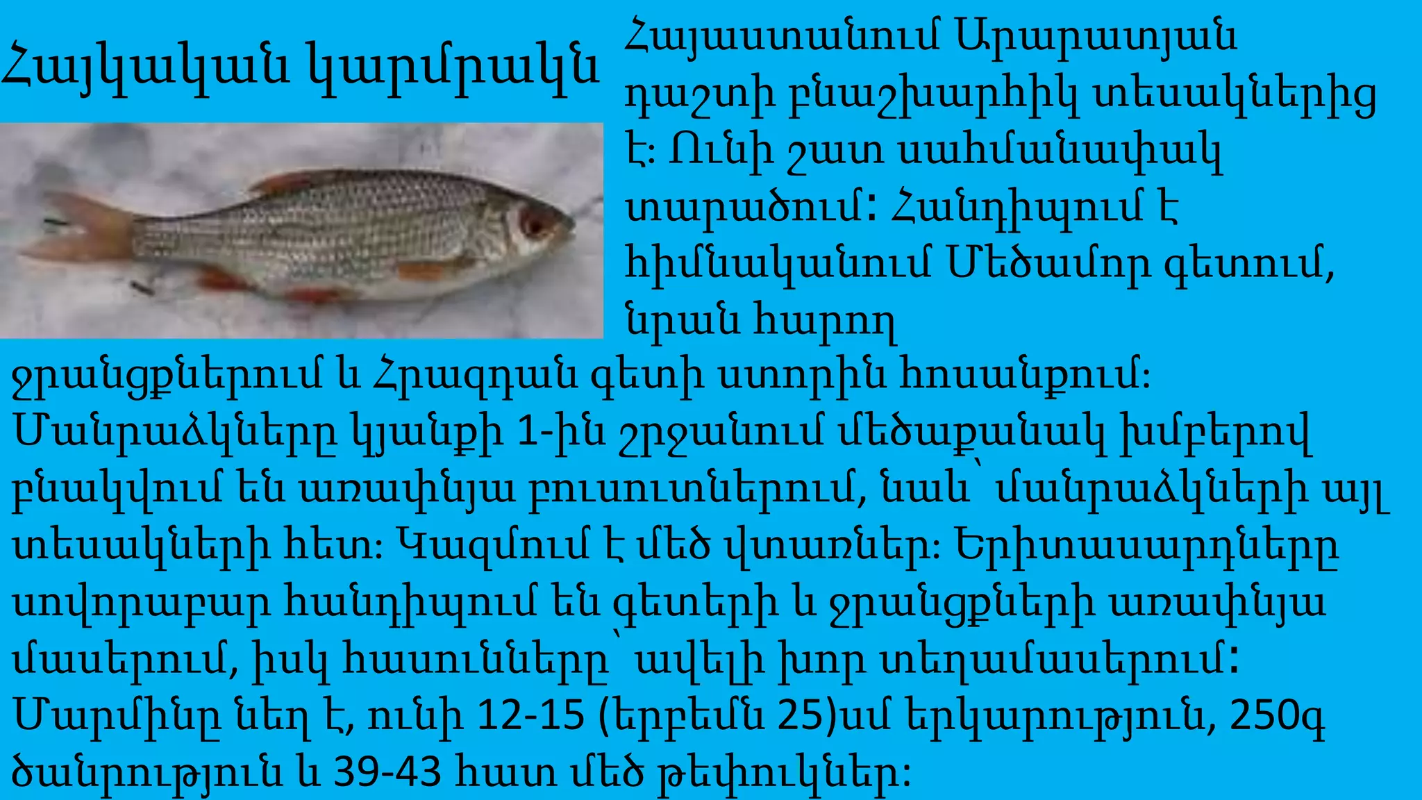 Հայաստանի ձկները | PPTX