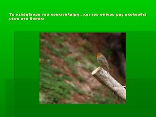 ΠΑΡΟΥΣΙΑΣΗ ΣΤΟΥΣ ΜΑΘΗΤΕΣ ΤΗΣ ΣΤ΄ ΤΑΞΗΣ ΤΟΥ ΣΧΟΛΕΙΟΥ ΜΑΣ ΓΙΑ ΤΟ ΔΑΣΑΚΙ ...
