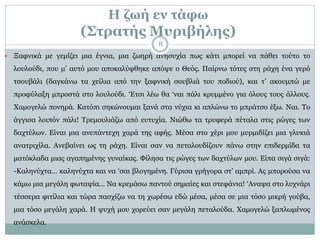 η ζωή εν τάφω | PPTX