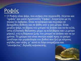 τα ψαρια διατροφικη αξια | PPTX