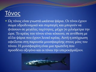 τα ψαρια διατροφικη αξια | PPTX