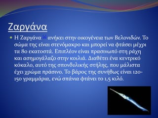 τα ψαρια διατροφικη αξια | PPTX