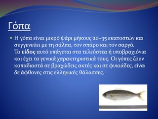 τα ψαρια διατροφικη αξια | PPTX