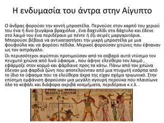 Eνδυμασία και τρόπος ζωής στην αρχαιότητα | PPT