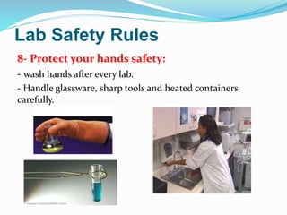 microbiology lab 1 | PPT