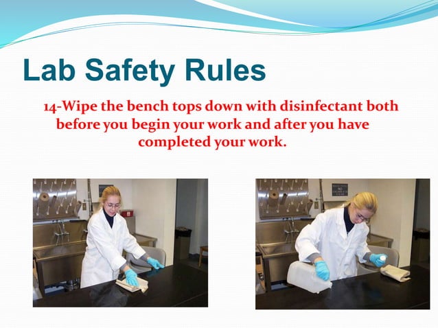 microbiology lab 1 | PPT