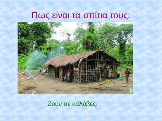 Μπαντού | ODP