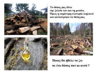 Σκεψεις παιδιων για την προστασια του δασους | PPT