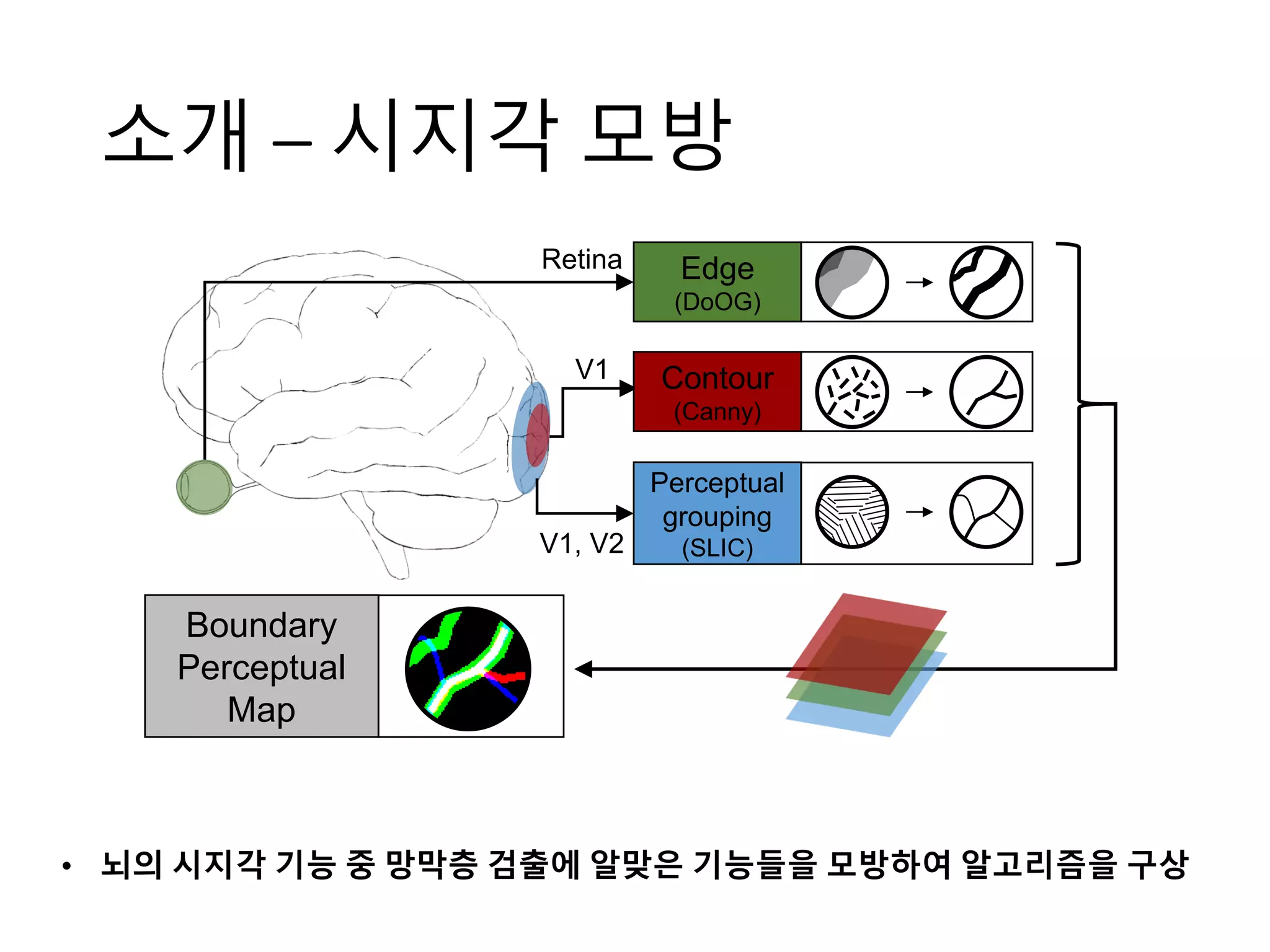 retinal layer segmentation | PDF