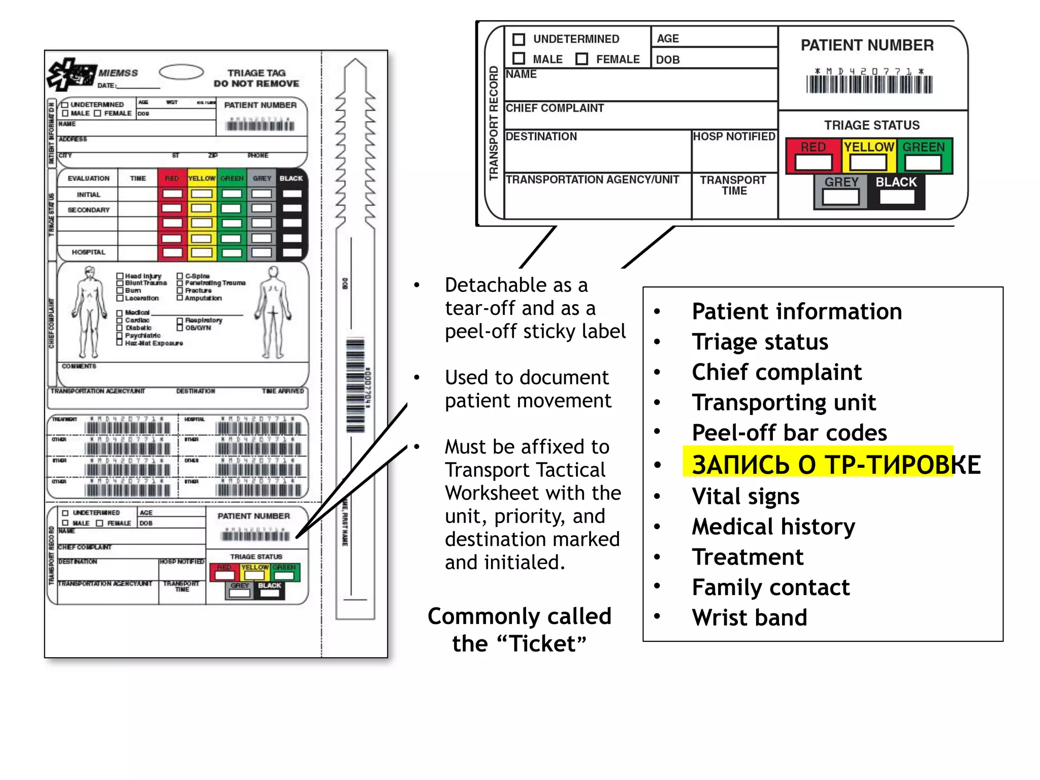 Zhunussov Y.T. - 3H Triage | PDF