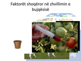 Bujqësia | PPTX
