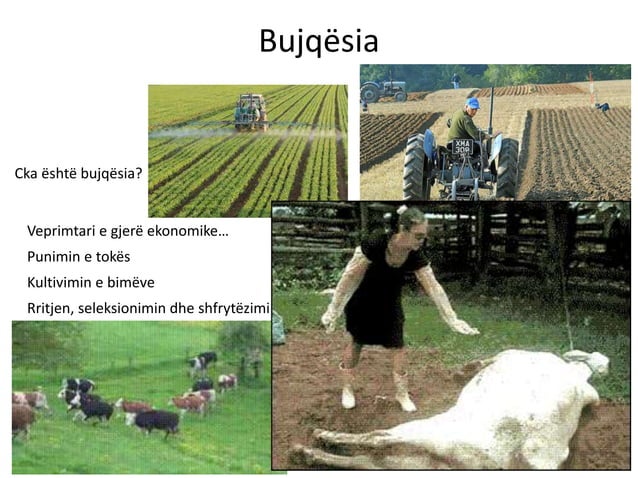 Bujqësia | PPT