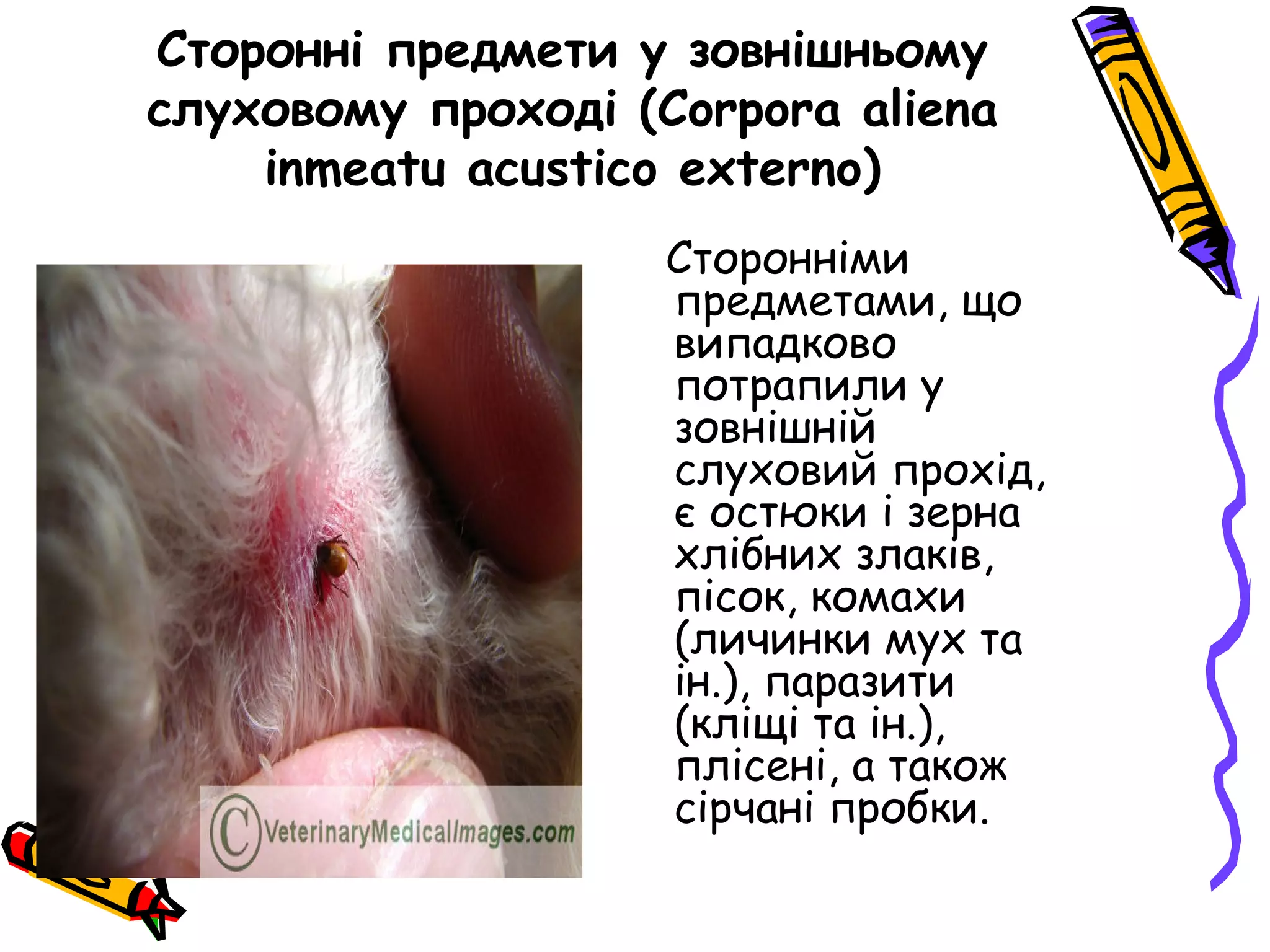 хвороби в ділянці голови | PPT