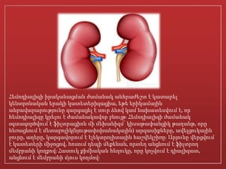Սուր երիկամային անբավարարություն: Բուժում | PPT