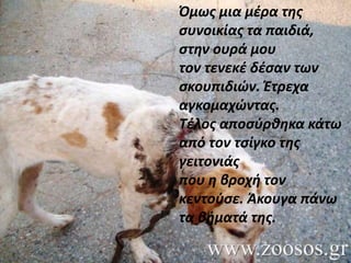 το παραπονο-ενος-σκυλου | PPTX