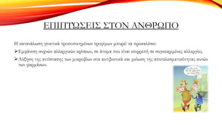 Γενετικά τροποποιημένα τρόφιμα | PPT