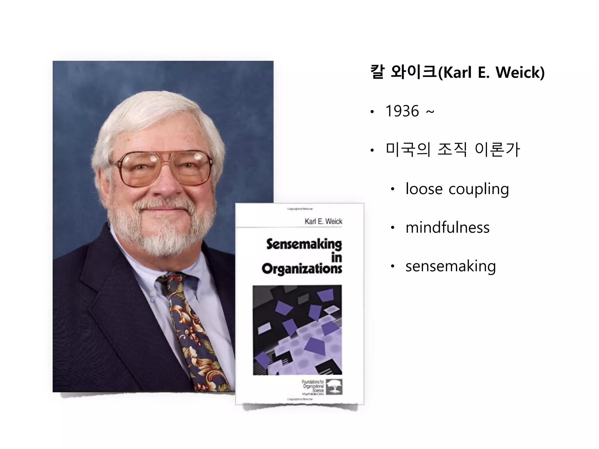 Organizing and the Process of Sensemaking | PDF