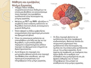 Μάθηση και Εγκέφαλος | PPTX