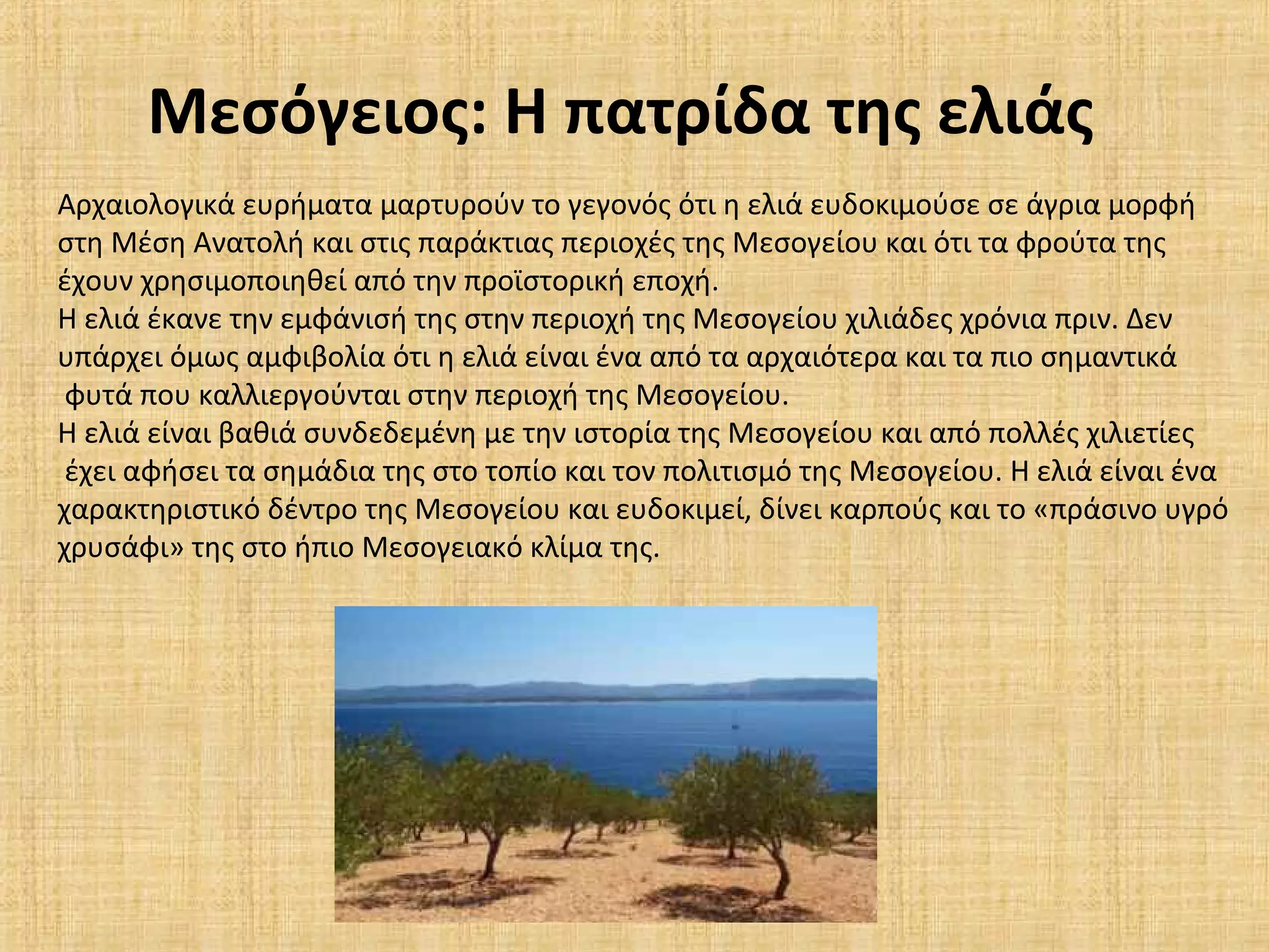 παρουσίαση ελιά λάδι | PPT