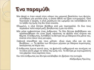 Mια ελιά αφηγείται | PPT