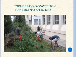 Περιβαλλοντικό πρόγραμμα | PPTX