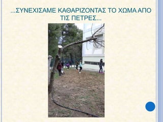 Περιβαλλοντικό πρόγραμμα | PPTX