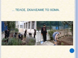 Περιβαλλοντικό πρόγραμμα | PPTX