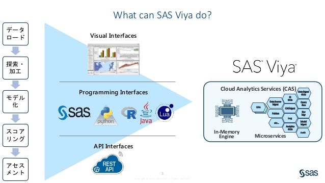 Python R で使うsas Viya