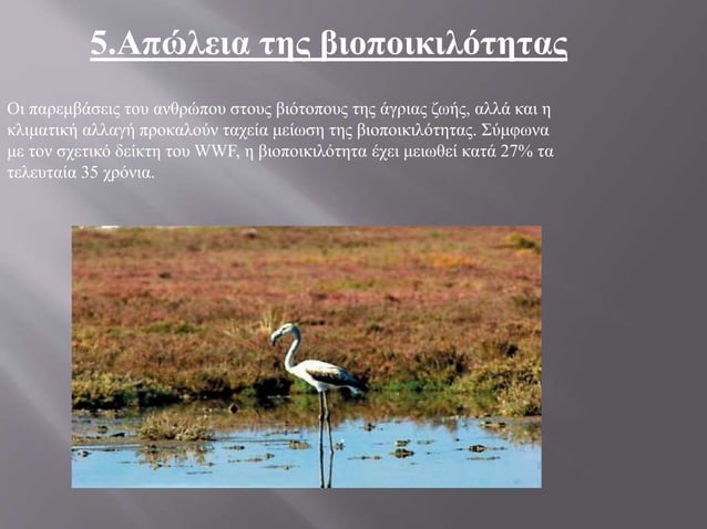 η ρυπανση του περιβαλλοντος | PPTX