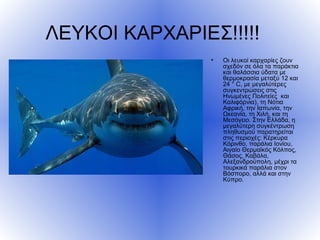 Καρχαριες !!! | PPT