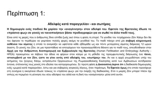 Διαθεματική διδασκαλία: Βιοηθική | PPT