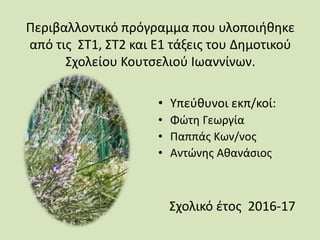ΑΡΩΜΑΤΙΚΑ ΦΥΤΑ ΚΑΙ ΒΟΤΑΝΑ | PPTX