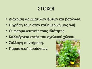 ΑΡΩΜΑΤΙΚΑ ΦΥΤΑ ΚΑΙ ΒΟΤΑΝΑ | PPTX