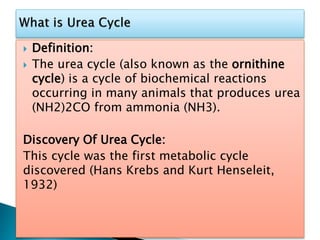 Urea Cycle | PPT