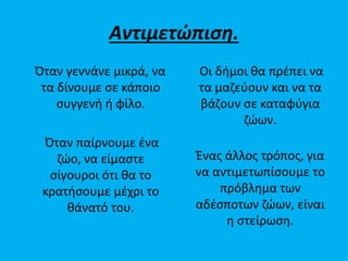 Τα αδέσποτα ζώα | PPT