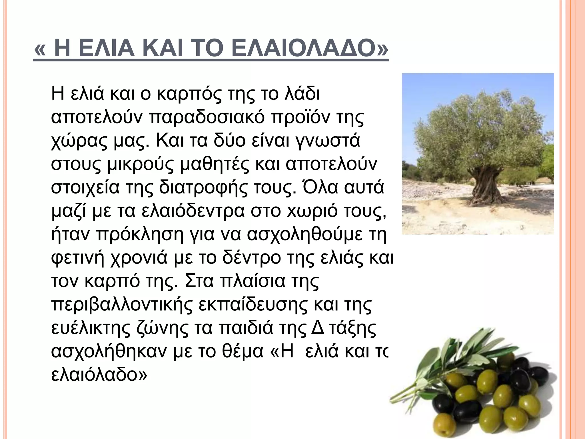 Η ελιά και το ελαιόλαδο - Εκπαιδευτικό Πρόγραμμα Τάξη Δ΄ | PPT