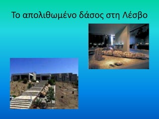 φυσικα διατηρητεα μνημεια | PPT