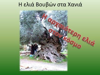 φυσικα διατηρητεα μνημεια | PPT