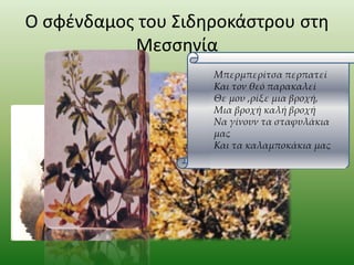 φυσικα διατηρητεα μνημεια | PPTX