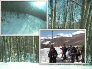 παρουσιαση περιβαλλοντικης δασος και νερο εν κινδωνω | PPTX