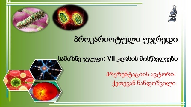 პროკარიოტული უჯრედი