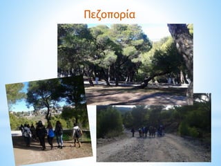 Το σχολείο μας πρασινίζει : αρώματα, χρώματα, γεύσεις στο σχολικό κήπο ...