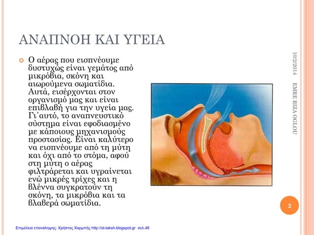 Φυσικά ΣΤ΄. Ενότητα 7η :΄΄Αναπνευστικό σύστημα΄΄ | PDF