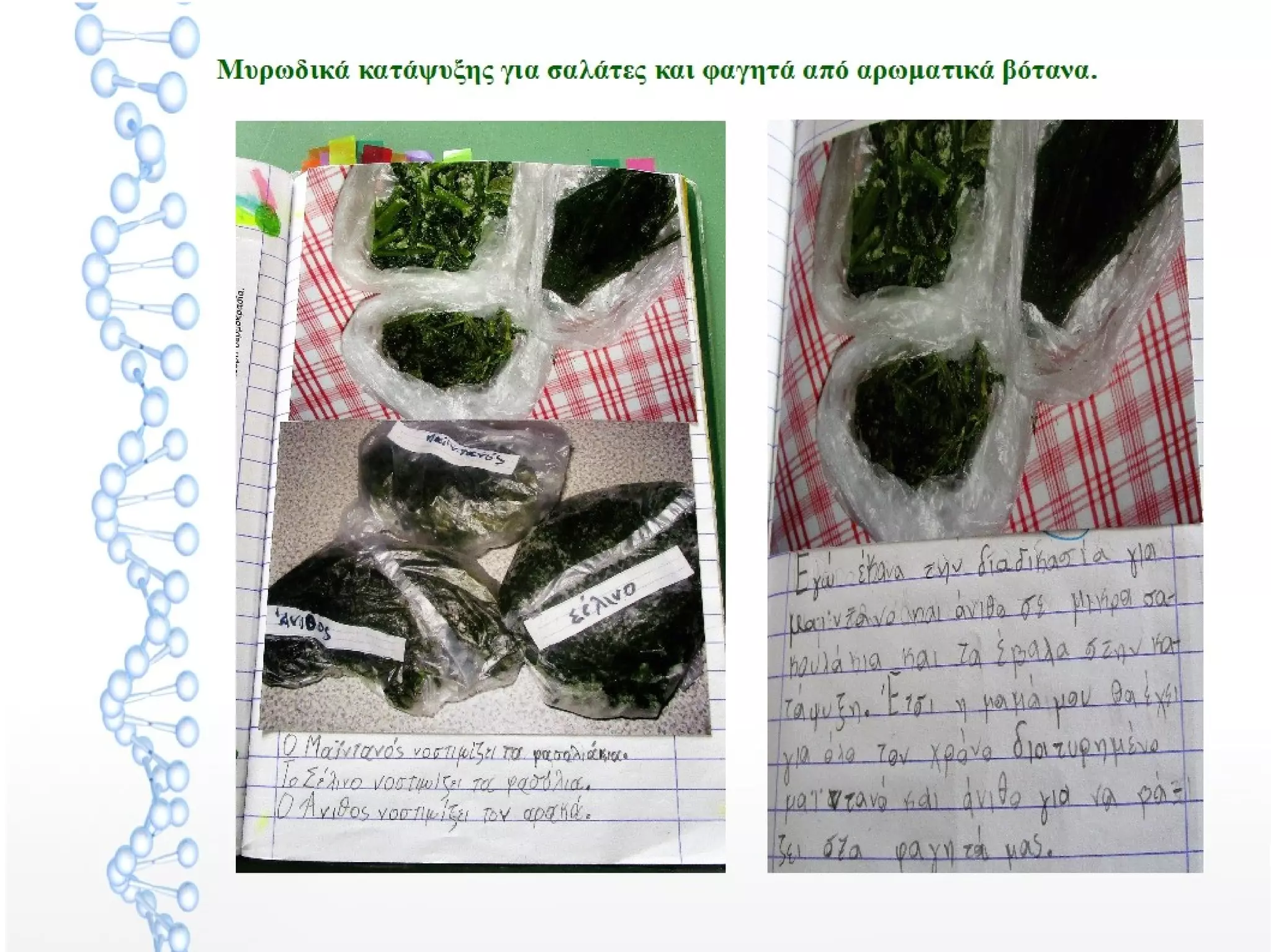 περιβαλλον και διατροφη | ODP