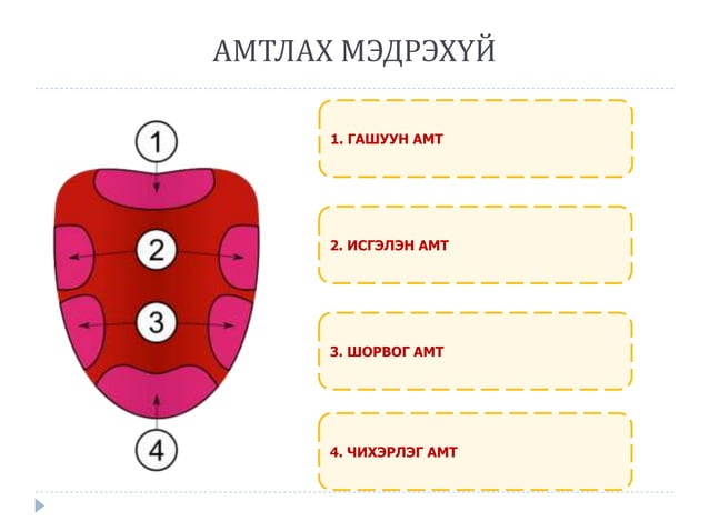 сүү сүүн бүтээгдэхүүний амтлагаа Ppt