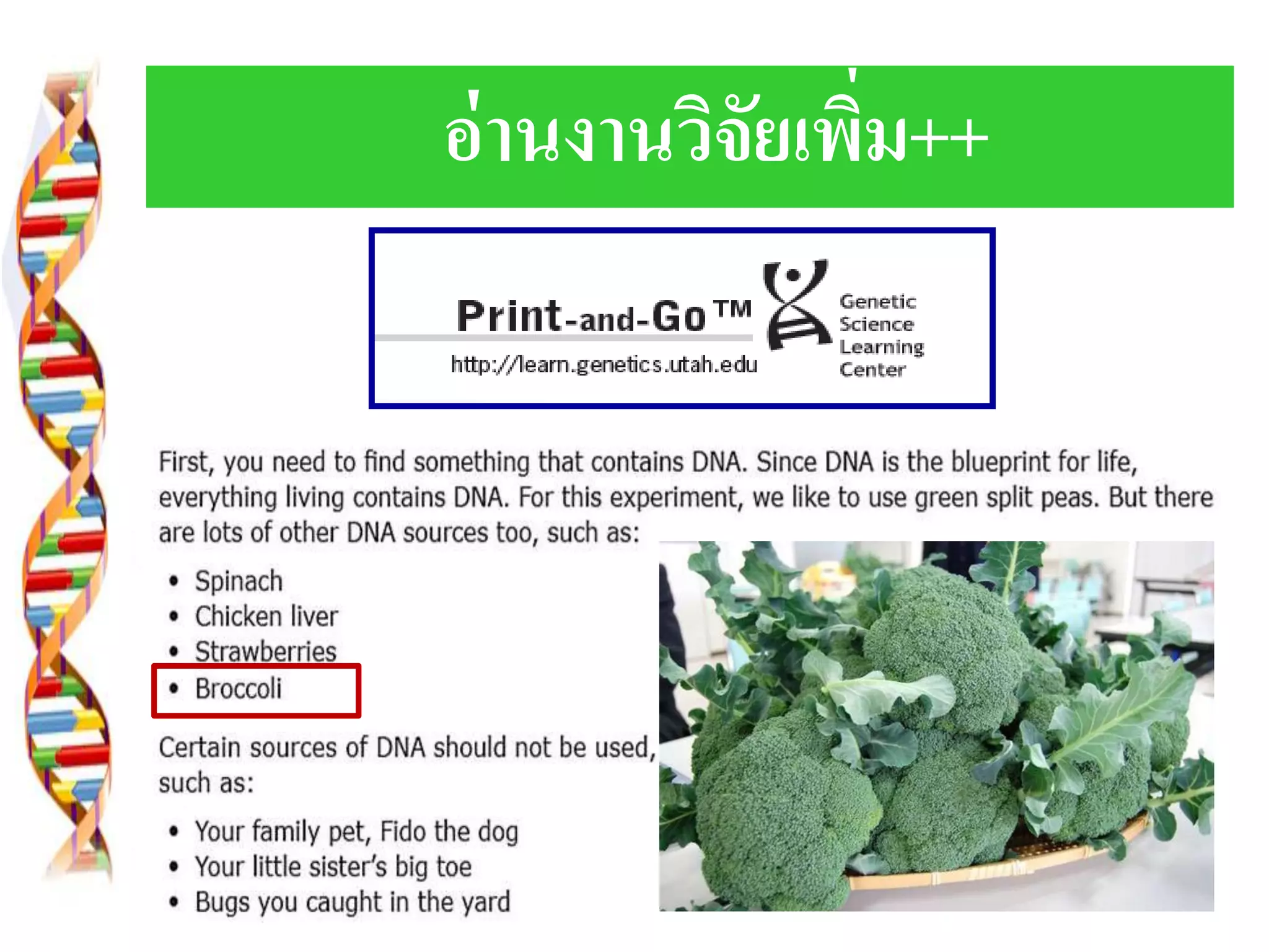 Biology Lab: Plant DNA Extraction | PPTX